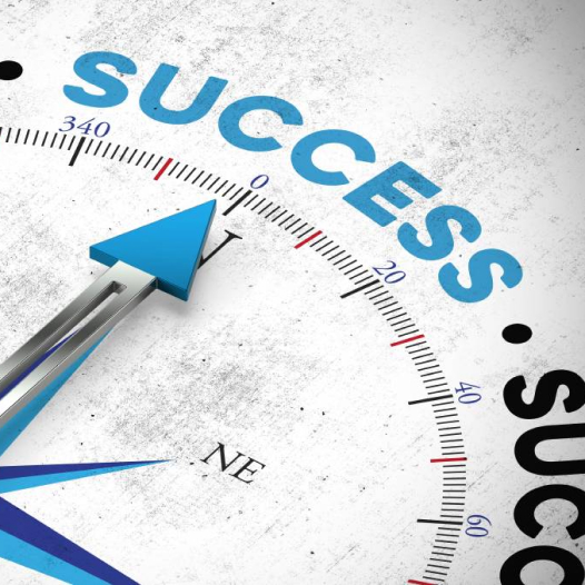 Life Compass – Life Compass Website